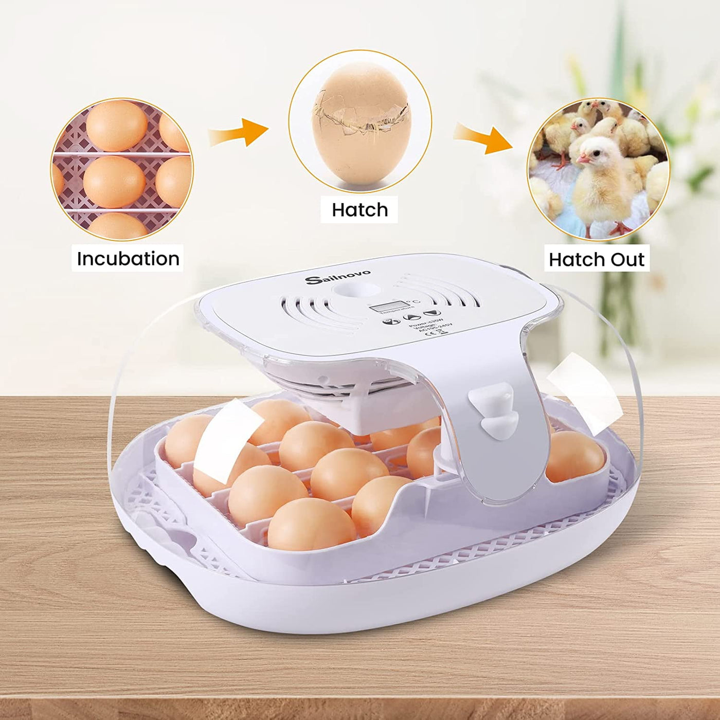 Egg Incubator, Incubating 16-35 Eggs, with Automatic Turning ...