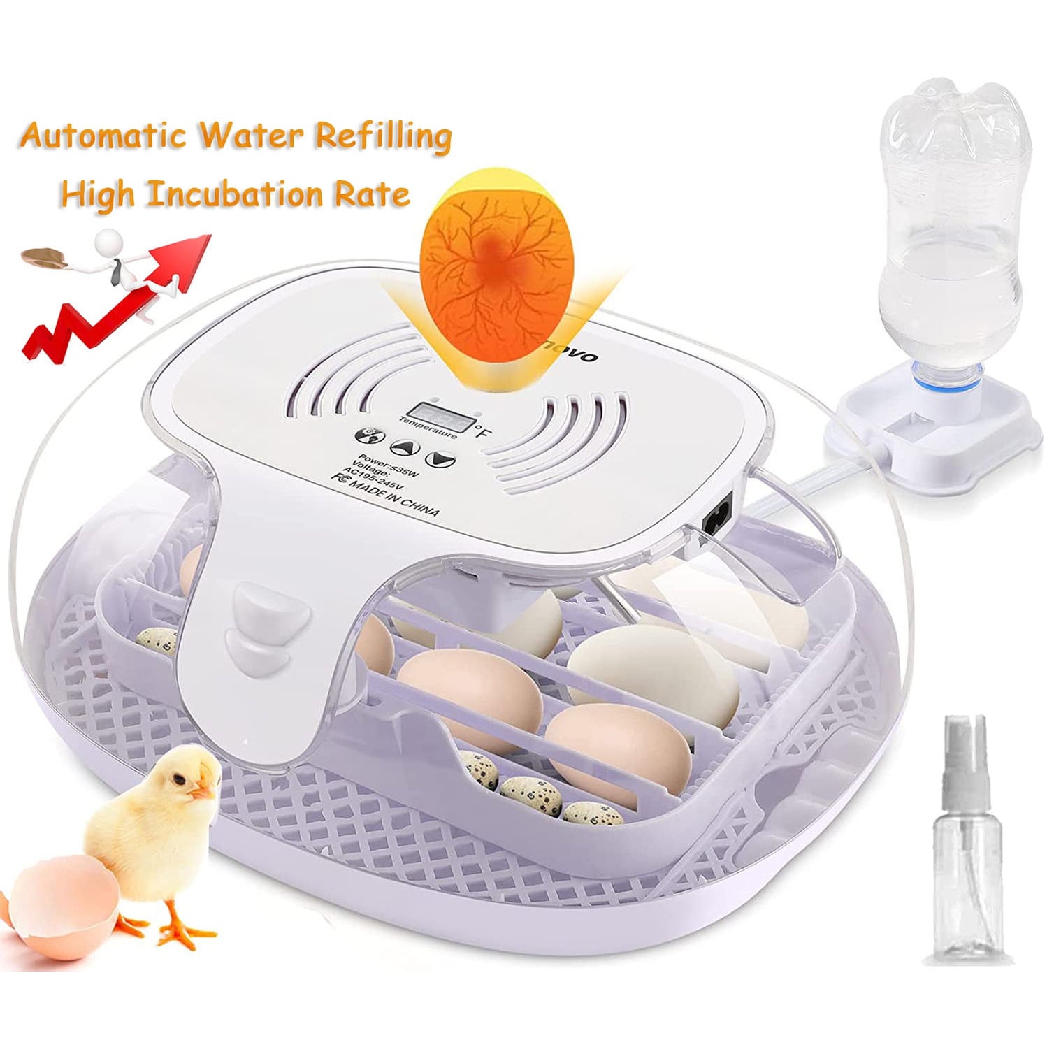 Egg Incubator, Incubating 16-35 Eggs, with Automatic Turning ...